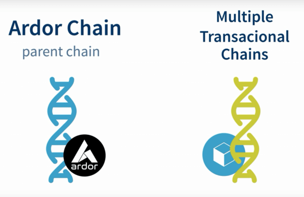 What Is Ardor (ARDR)? | Blockchain as a Service, Explained