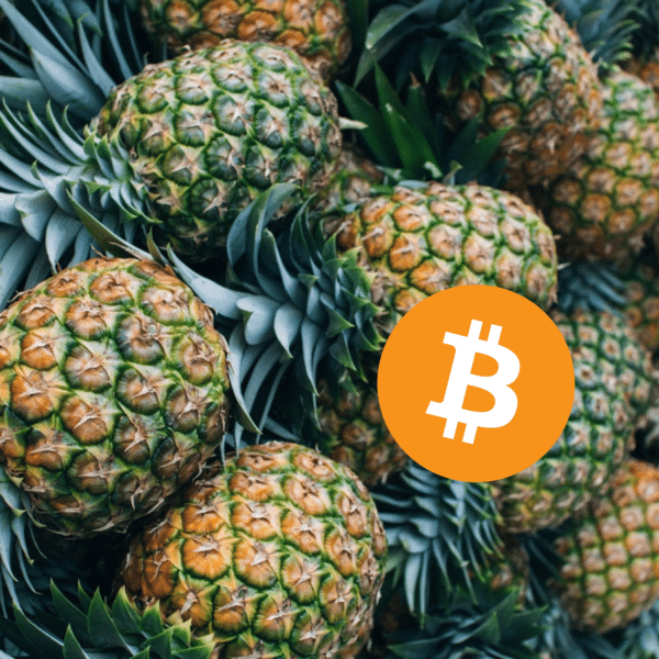 Pineapple Fund Donor Says Farewell After Donating Last of Funds ...