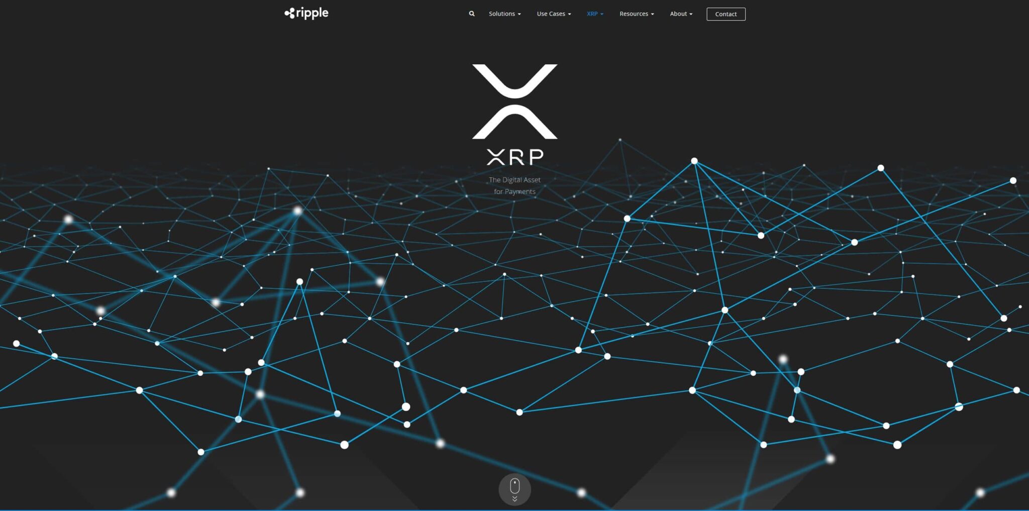 Ripple CTO Says Simplicity and Custody Solutions Drive Crypto Adoption ...