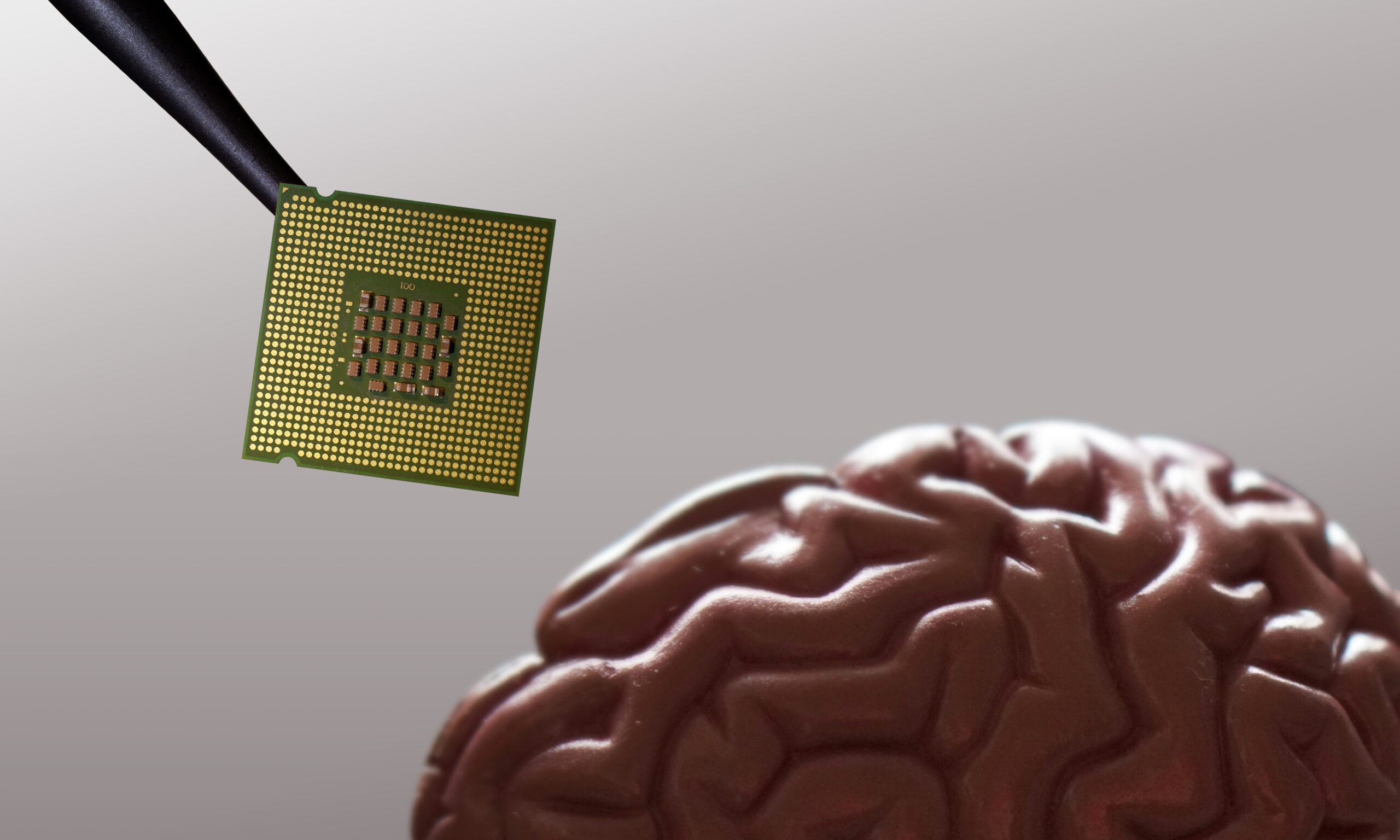 Neuralink Competitor Paradromics Reports First Human Neurochip Implant ...