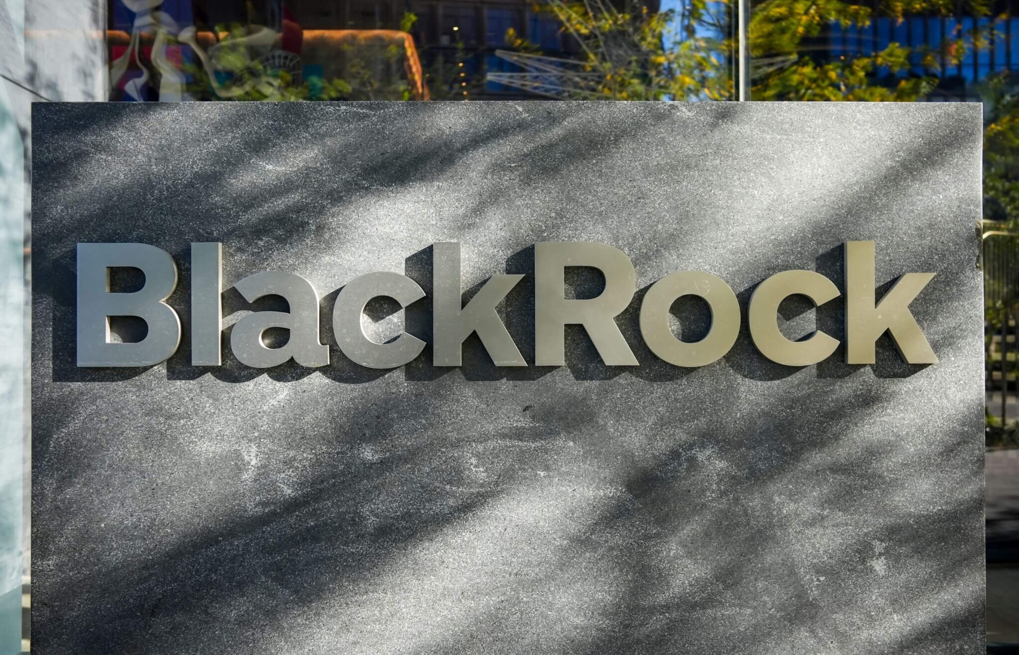 BlackRock Just Called Most Crypto Tokens "Nonsense" — Here's What They ...