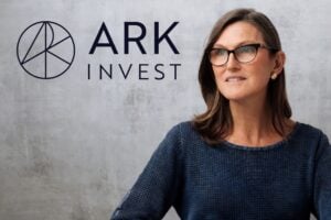 Cathie Wood's ARK Invest Dumps Roku, Tesla and AMD Shares on Monday ...